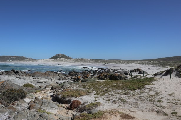Nr 5 of … 10 FUN THINGS TO DO IN LANGEBAAN (South Africa) – Wet and ...