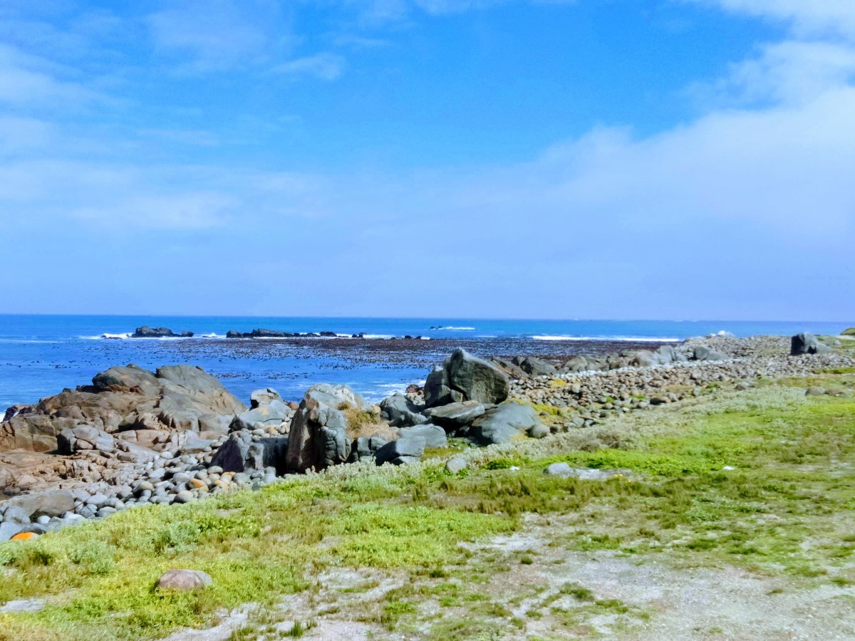 Nr 9 of … 10 FUN THINGS TO DO IN LANGEBAAN (South Africa) – Wet and ...