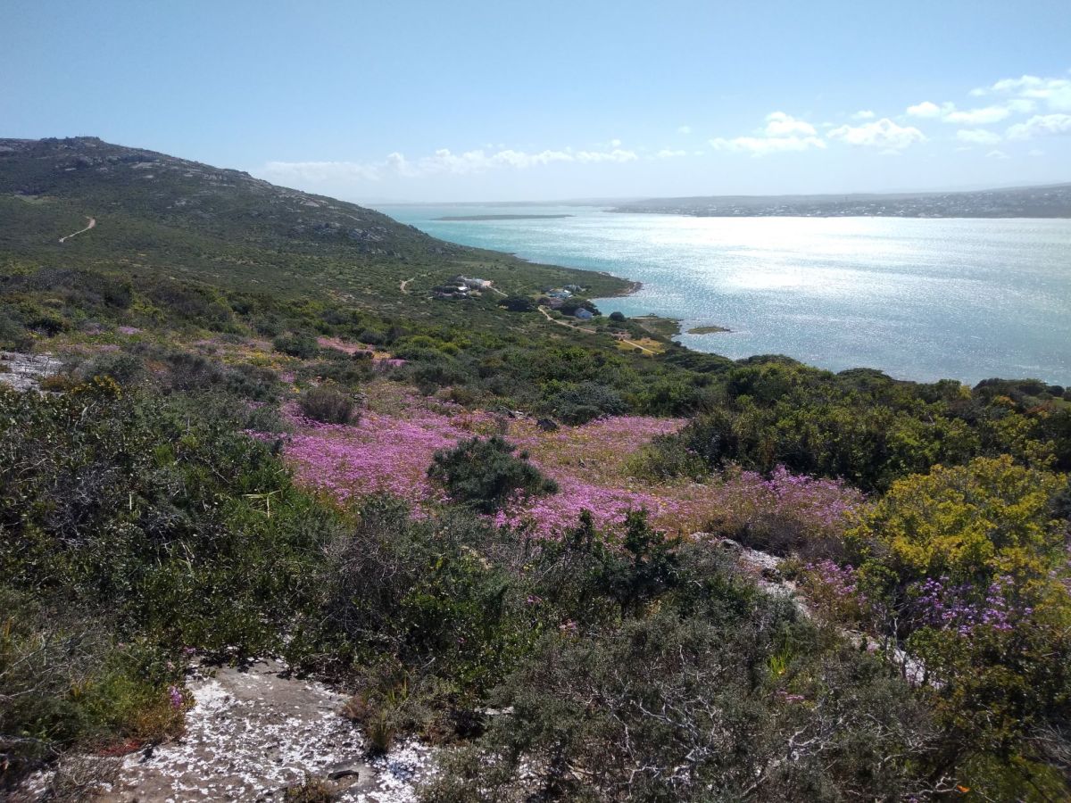HIKING – Postberg Flower Trail: 2-Day Hiking Trail, Langebaan (South ...
