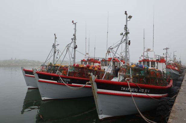 Elands Bay, West Coast – Camping (South Africa) – Wet and Dusty Roads