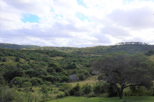 EMERALD VALE BREWERY, Chintsa East Coastline (South Africa) – Wet and ...