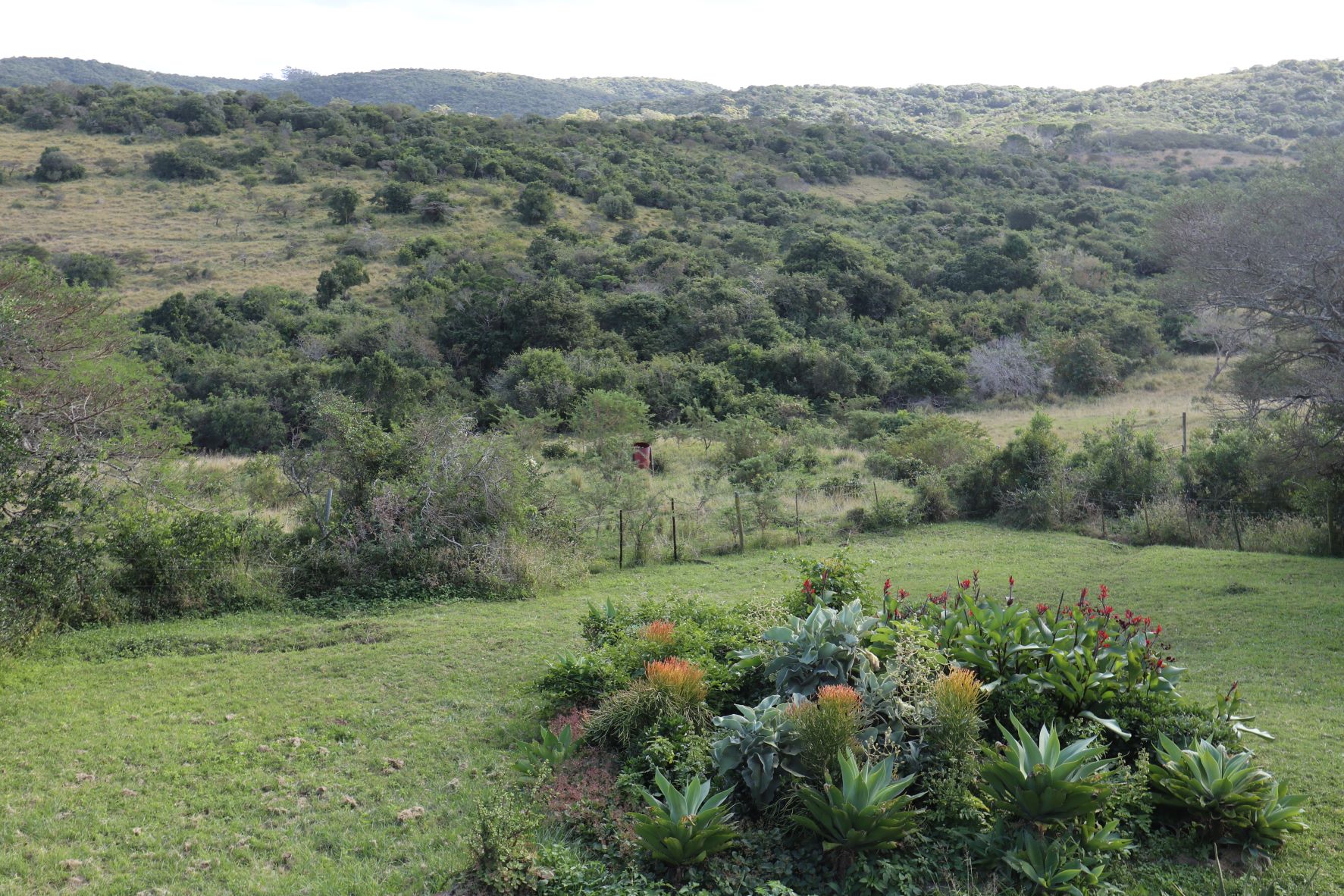 EMERALD VALE BREWERY, Chintsa East Coastline (South Africa) – Wet and ...