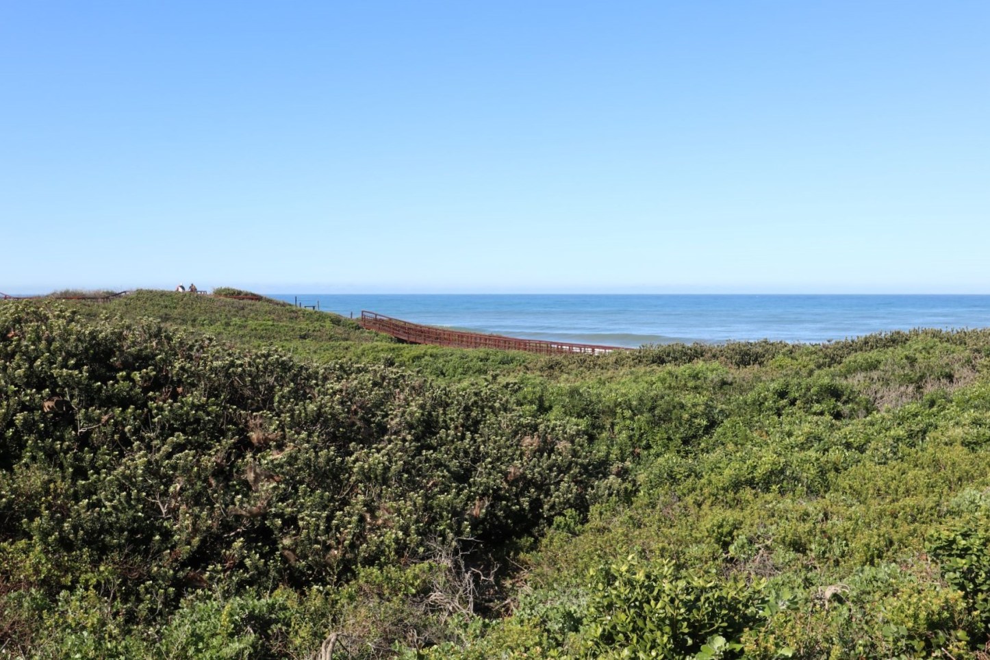 Nahoon Point Nature Reserve – Hiking, East London (South Africa) – Wet ...