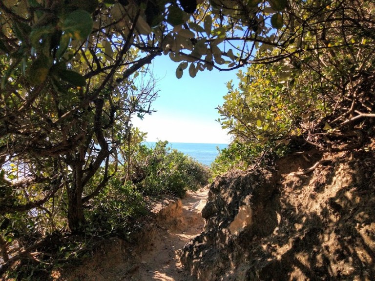 Nahoon Point Nature Reserve – Hiking, East London (South Africa) – Wet ...