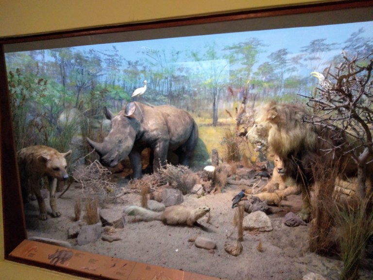 Museum, East London (South Africa) – Wet and Dusty Roads