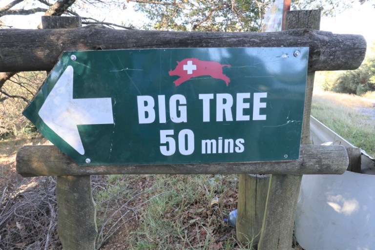 Hogsback – Big Tree and Waterfall (South Africa) – Wet and Dusty Roads