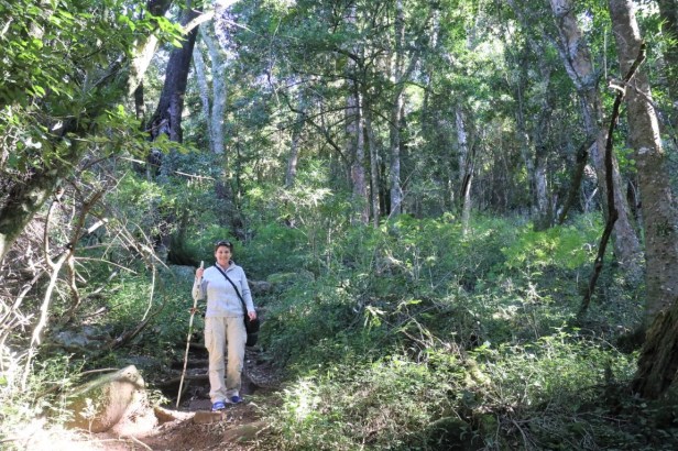 Hogsback – Big Tree and Waterfall (South Africa) – Wet and Dusty Roads
