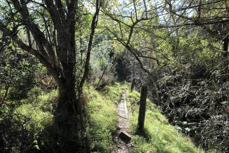 Hogsback – Big Tree and Waterfall (South Africa) – Wet and Dusty Roads