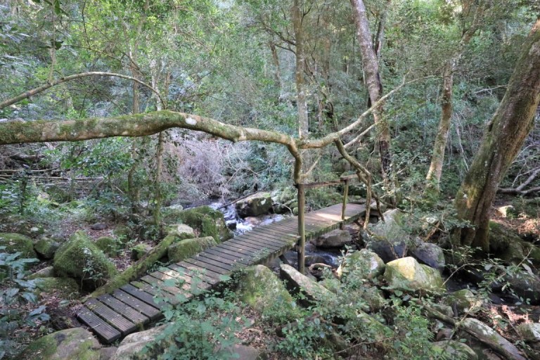 Hogsback – Big Tree and Waterfall (South Africa) – Wet and Dusty Roads