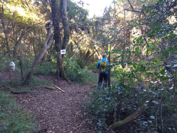 Hogsback – Big Tree and Waterfall (South Africa) – Wet and Dusty Roads