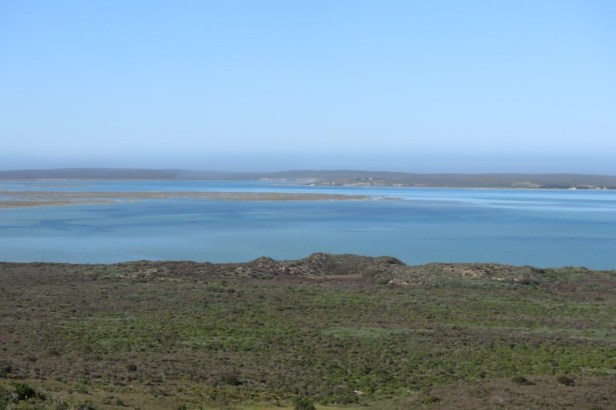 Postberg & West Coast National Park – 2023, Langebaan (South Africa ...