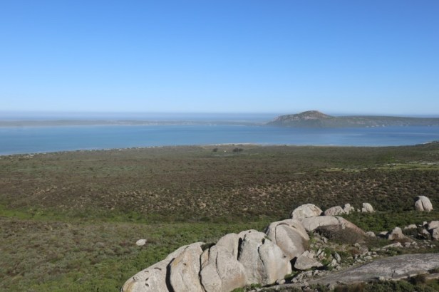 Postberg & West Coast National Park – 2023, Langebaan (South Africa ...