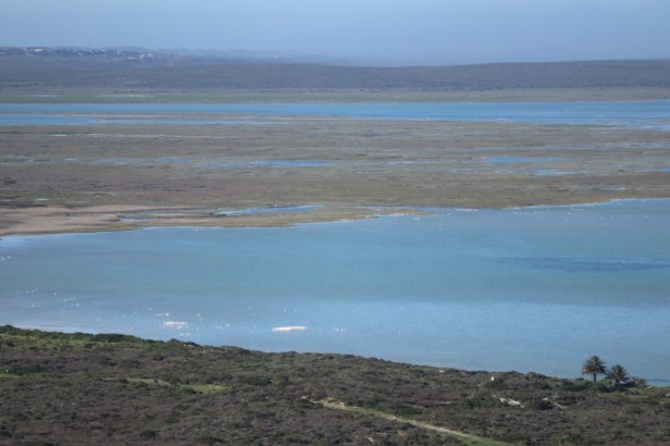 Postberg & West Coast National Park – 2023, Langebaan (South Africa ...