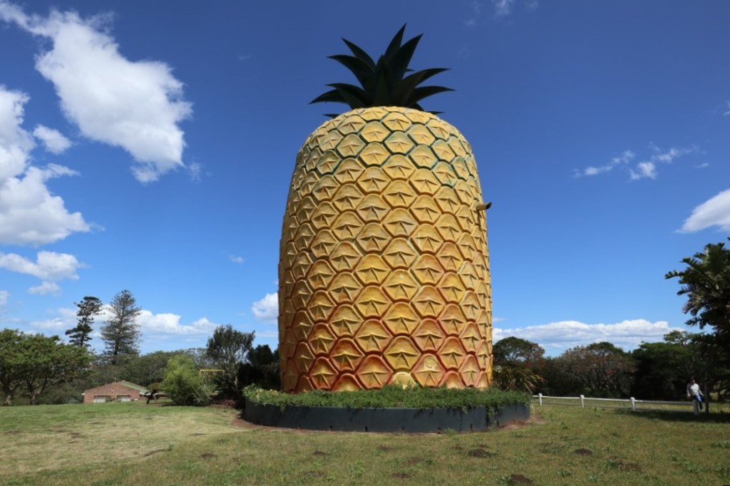 World’s biggest pineapple building, Bathurst (South Africa) – Wet and ...