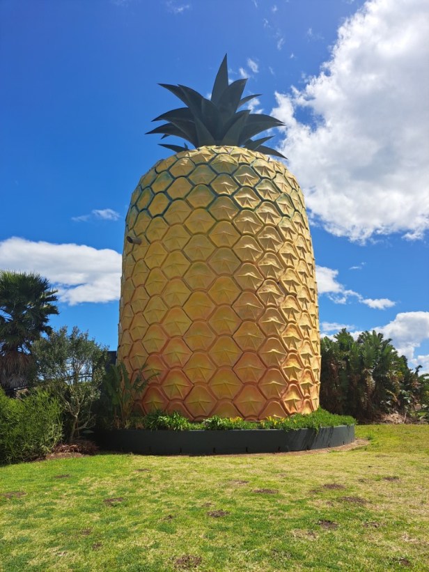 World’s biggest pineapple building, Bathurst (South Africa) – Wet and ...