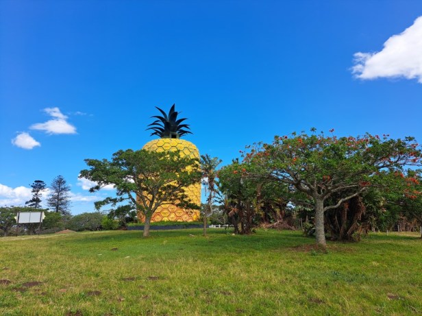 World’s biggest pineapple building, Bathurst (South Africa) – Wet and ...