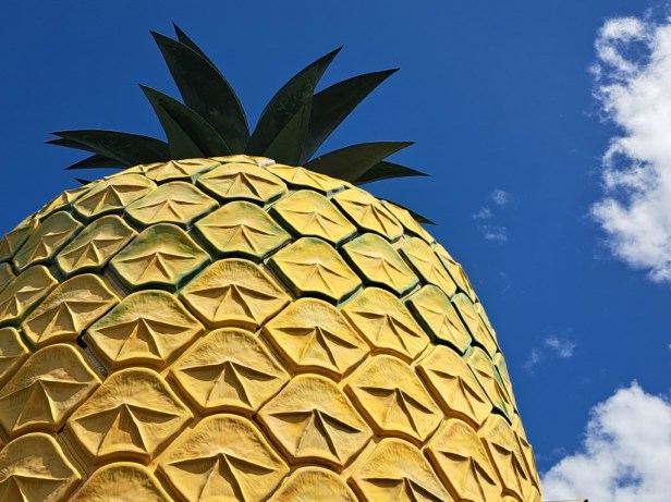 World’s biggest pineapple building, Bathurst (South Africa) – Wet and ...