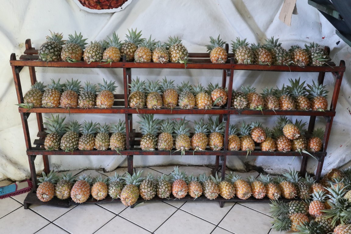 World’s biggest pineapple building, Bathurst (South Africa) – Wet and ...