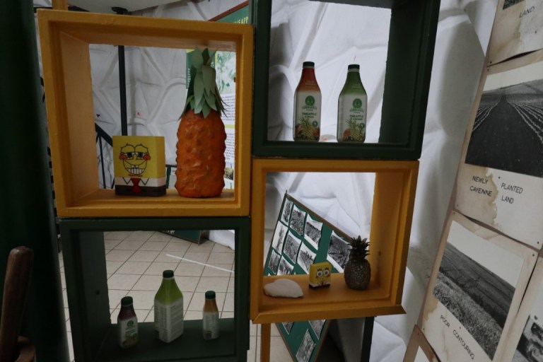 World’s biggest pineapple building, Bathurst (South Africa) – Wet and ...