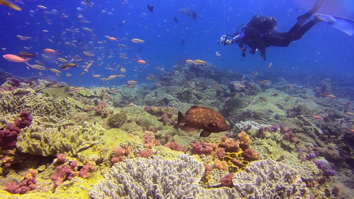 Sodwana Bay Diving (2), North Coast (South Africa) – Wet and Dusty Roads