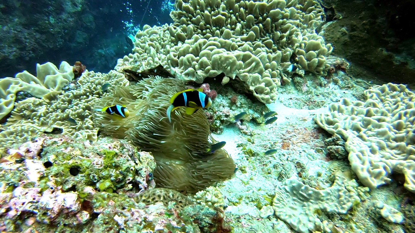 Sodwana Bay Diving (1), North Coast (South Africa) – Wet and Dusty Roads