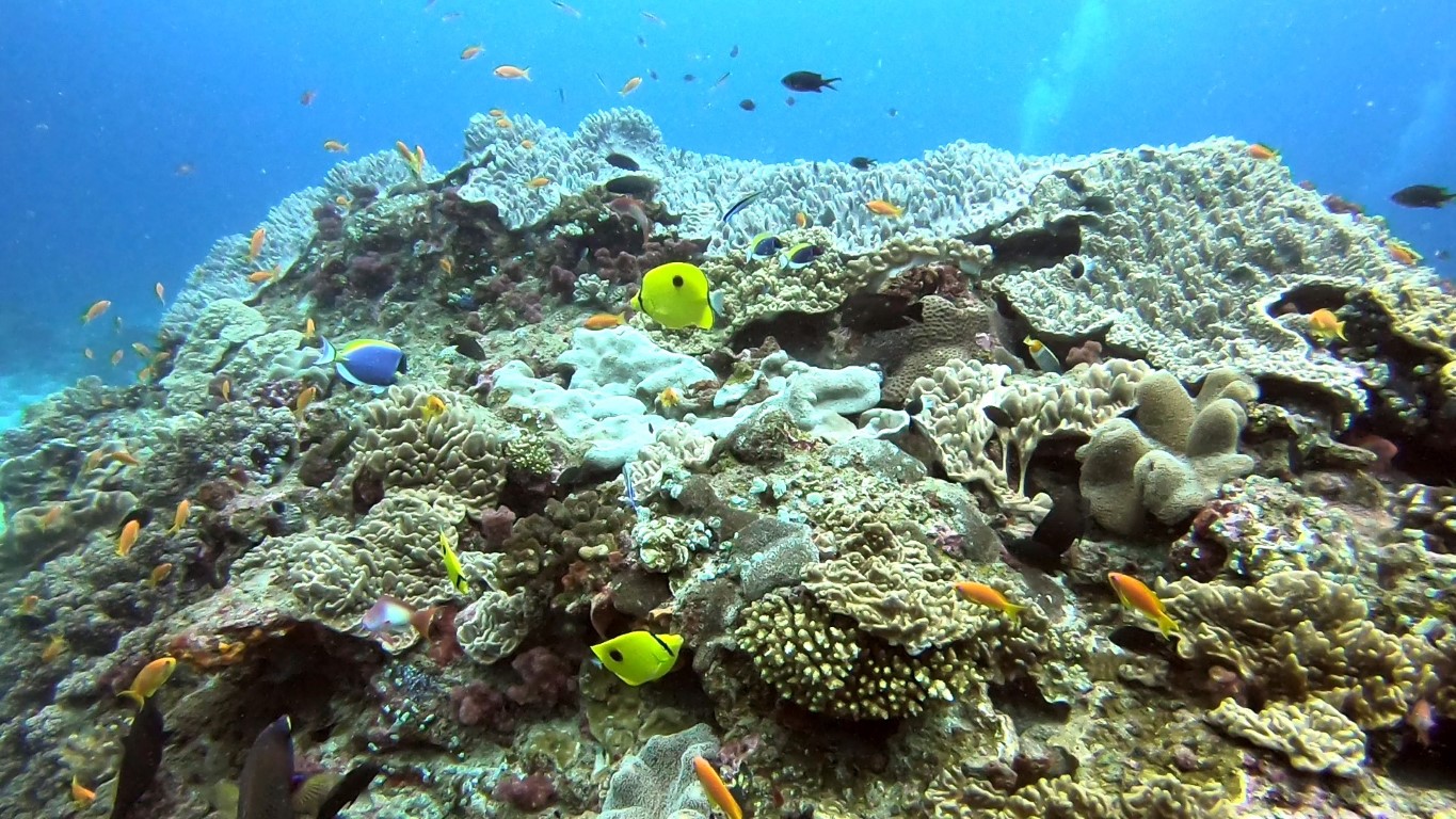 Sodwana Bay Diving (1), North Coast (South Africa) – Wet and Dusty Roads