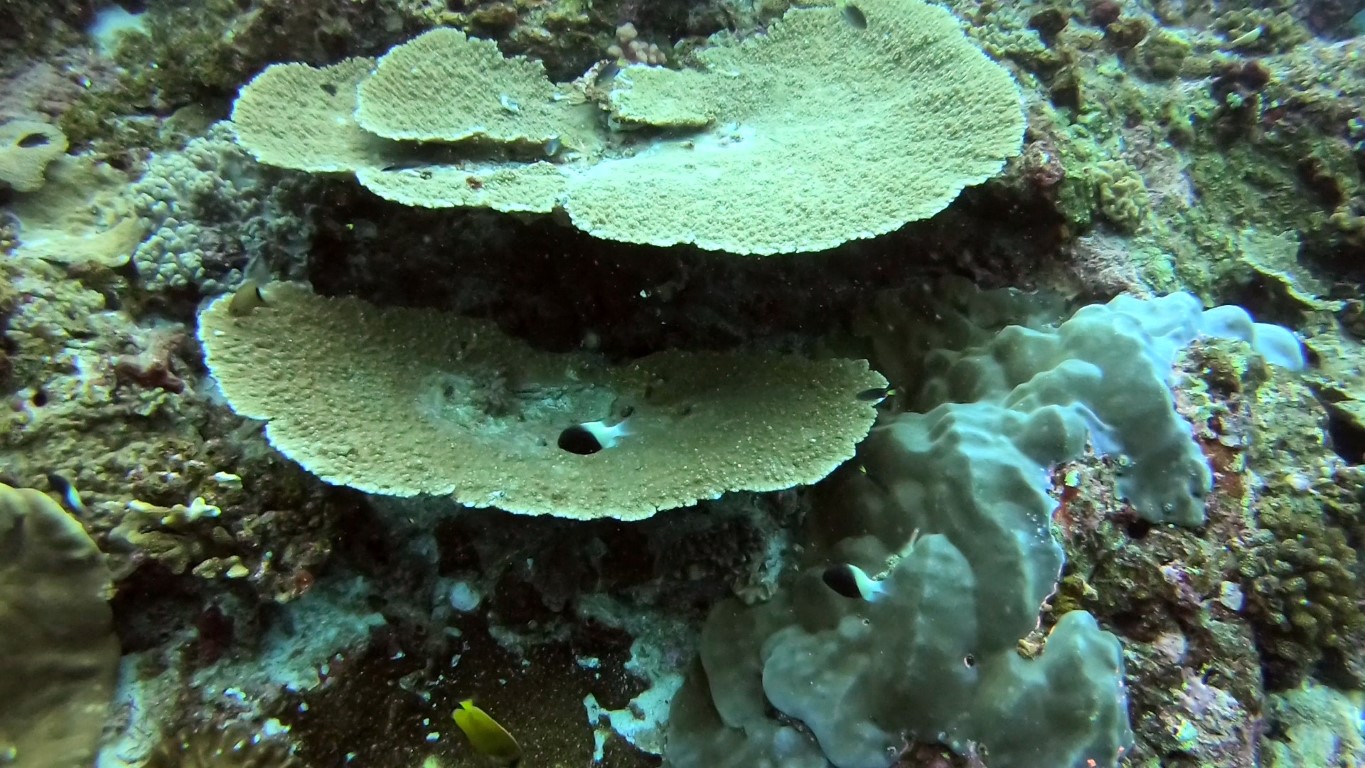 Sodwana Bay Diving (1), North Coast (South Africa) – Wet and Dusty Roads
