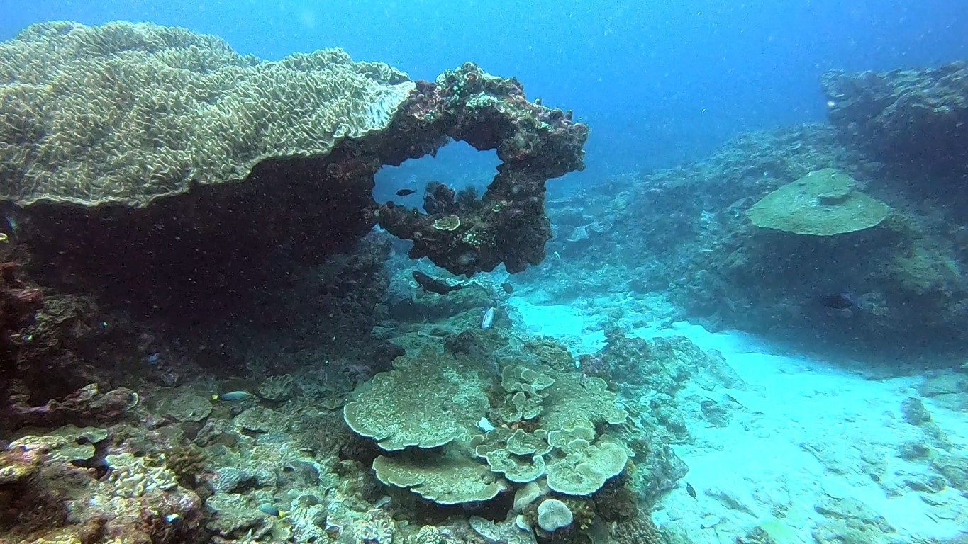 Sodwana Bay Diving (1), North Coast (South Africa) – Wet and Dusty Roads