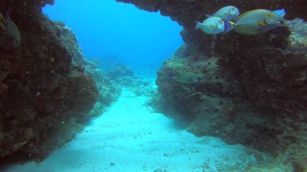 Sodwana Bay Diving (1), North Coast (South Africa) – Wet and Dusty Roads