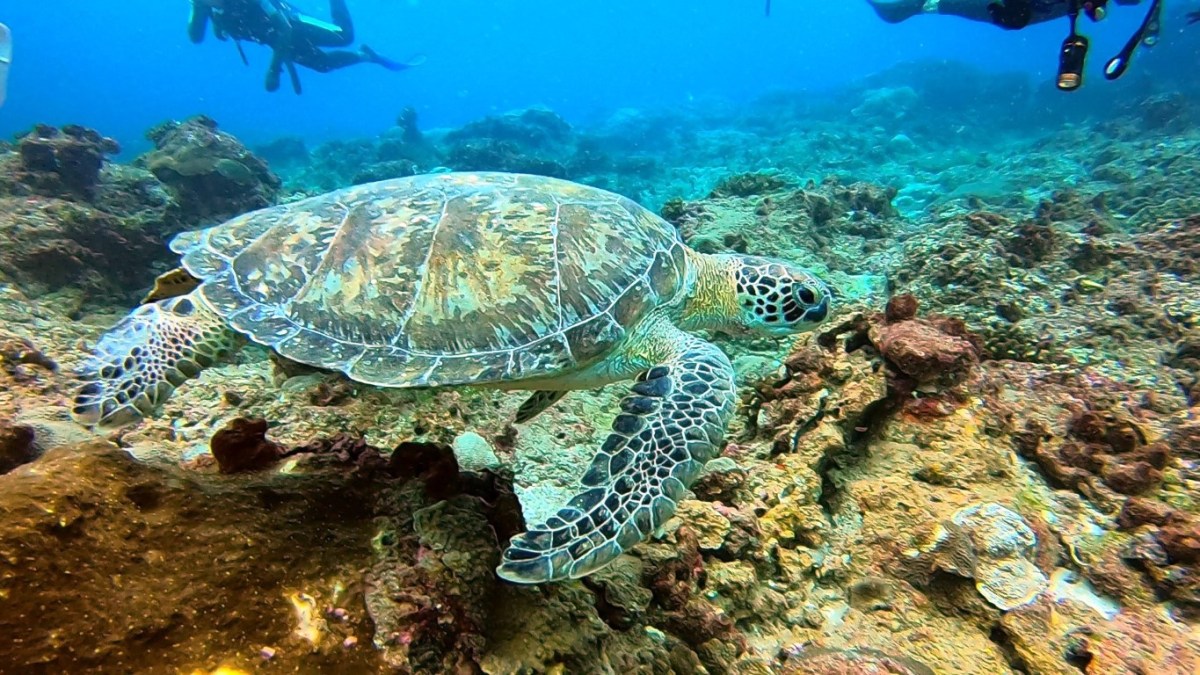 Sodwana Bay Diving (1), North Coast (South Africa) – Wet and Dusty Roads