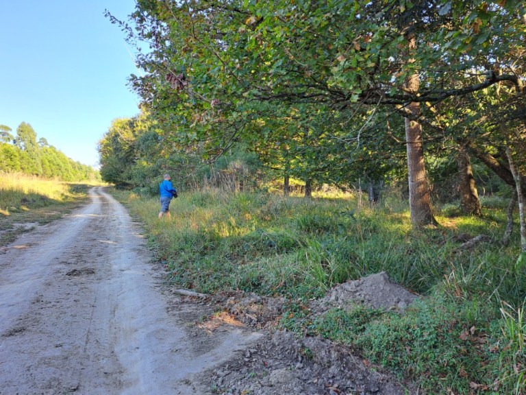 Forest Walk at The Shire Eco Lodge, Stutterheim (South Africa) – Wet ...