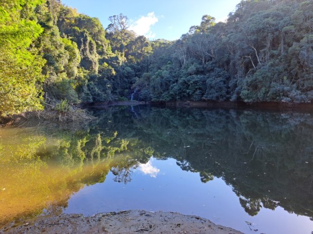 The Shire to Anderson Dam Hike – Kubusi Plantation, Stutterheim (South ...