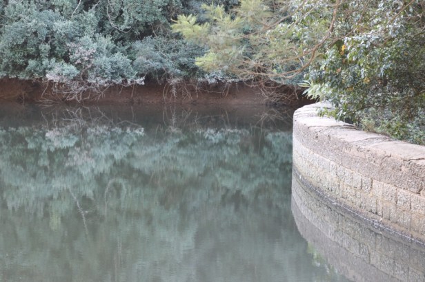 The Shire to Anderson Dam Hike – Kubusi Plantation, Stutterheim (South ...