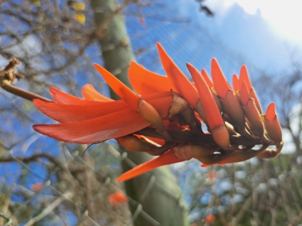Great Kei Bridge & Old Church in Komga, Wild Coast (South Africa) – Wet ...