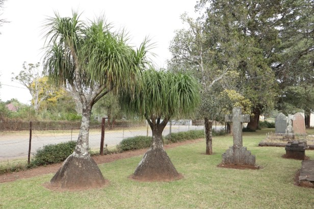 Great Kei Bridge & Old Church in Komga, Wild Coast (South Africa) – Wet ...