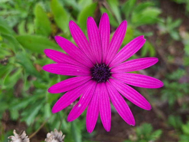 Great Kei Bridge & Old Church in Komga, Wild Coast (South Africa) – Wet ...
