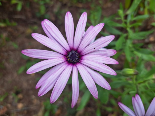 Great Kei Bridge & Old Church in Komga, Wild Coast (South Africa) – Wet ...