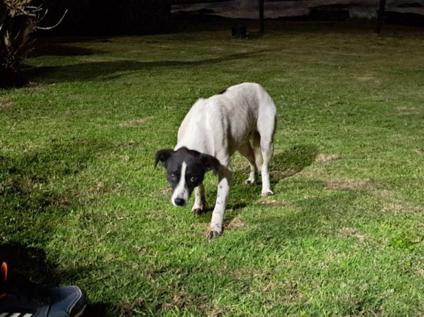 Mazeppa Bay, Eastern Cape Province (South Africa) – Wet and Dusty Roads