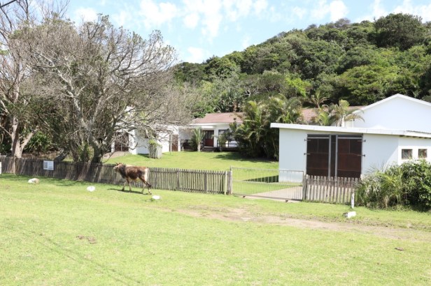 Mazeppa Bay, Eastern Cape Province (South Africa) – Wet and Dusty Roads