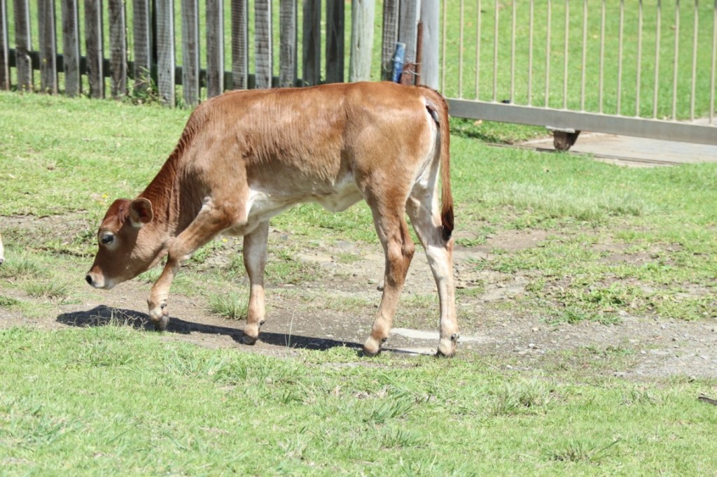 Mazeppa Bay, Eastern Cape Province (South Africa) – Wet and Dusty Roads