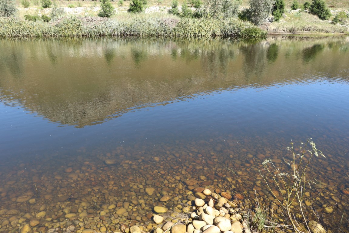 Batis & Bass River Camp, Breede River (South Africa) – Wet and Dusty Roads