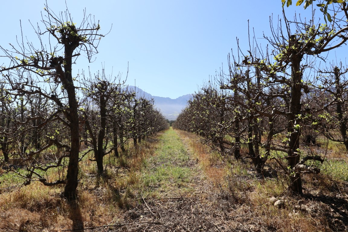 Batis & Bass River Camp, Breede River (South Africa) – Wet and Dusty Roads